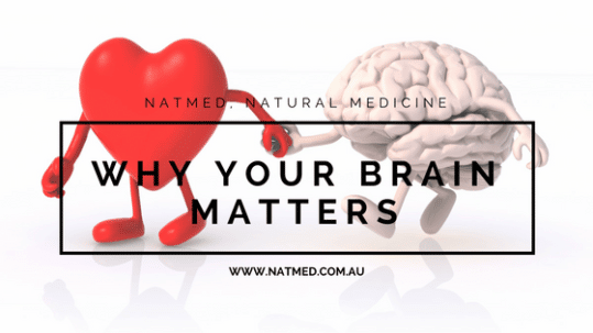 Why Your Brain Matters - Naturopath Perth - Perth Naturopath & Natural ...